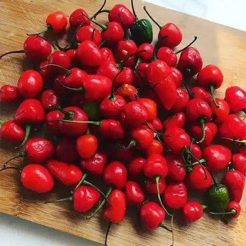 Act East – Organic Farming Products from North East India