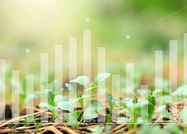 Smart Farming Solutions for Modern Agriculture | eCrop