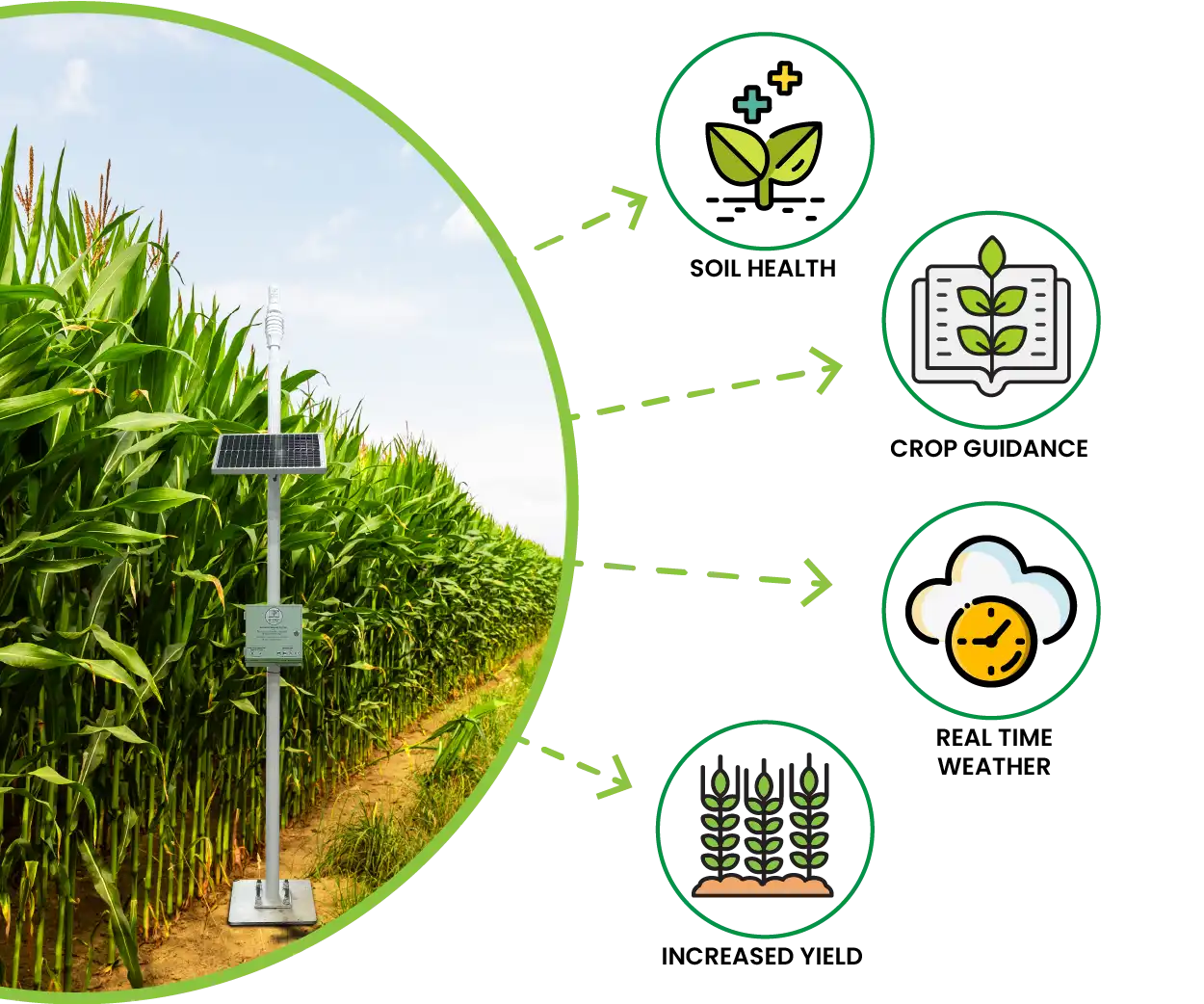 Smart Farming Solutions for Modern Agriculture | eCrop