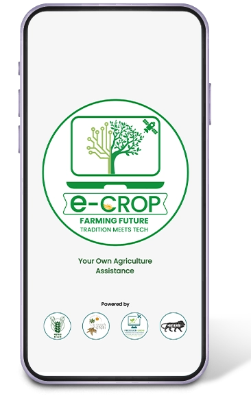Smart Farming Solutions for Modern Agriculture | eCrop