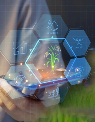 Smart Farming Solutions for Modern Agriculture | eCrop