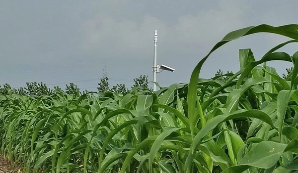 Smart Farming Solutions for Modern Agriculture | eCrop