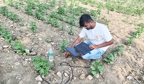 Smart Farming Solutions for Modern Agriculture | eCrop