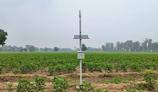 Smart Farming Solutions for Modern Agriculture | eCrop